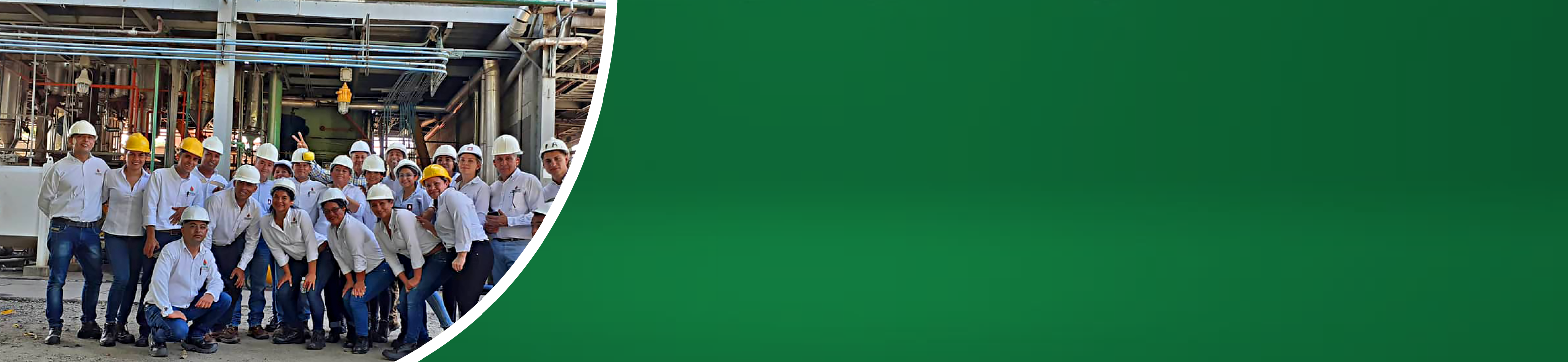 Gradesa – Evolucionamos naturalmente